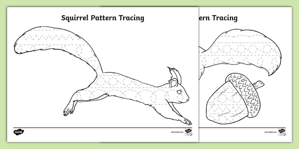 Squirrel Pattern Tracing Activity - Twinkl - KS1 - Twinkl