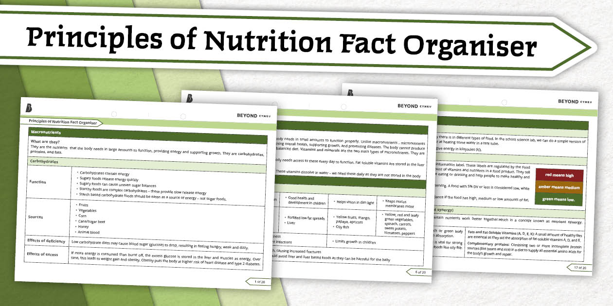 Principles of Nutrition Fact Organiser