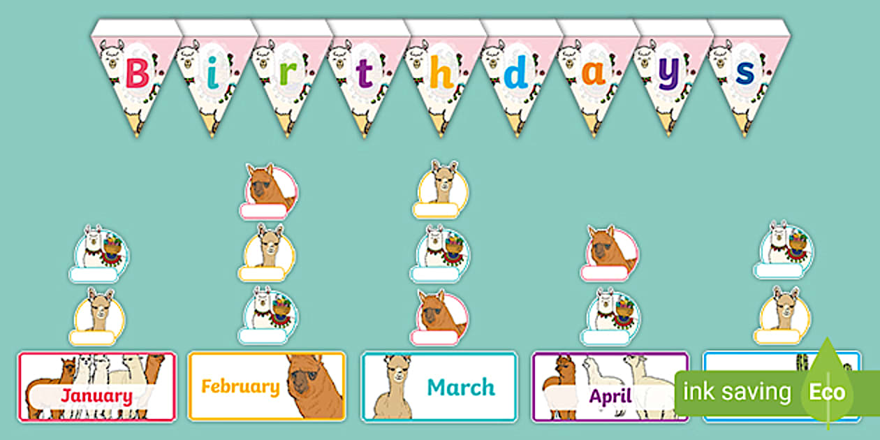 Llama Birthday Display (teacher made) - Twinkl