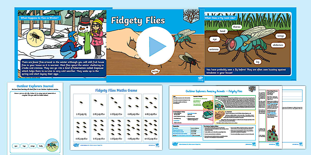 Outdoor Explorers: KS1 Winter Lesson 6 Fidgety Flies