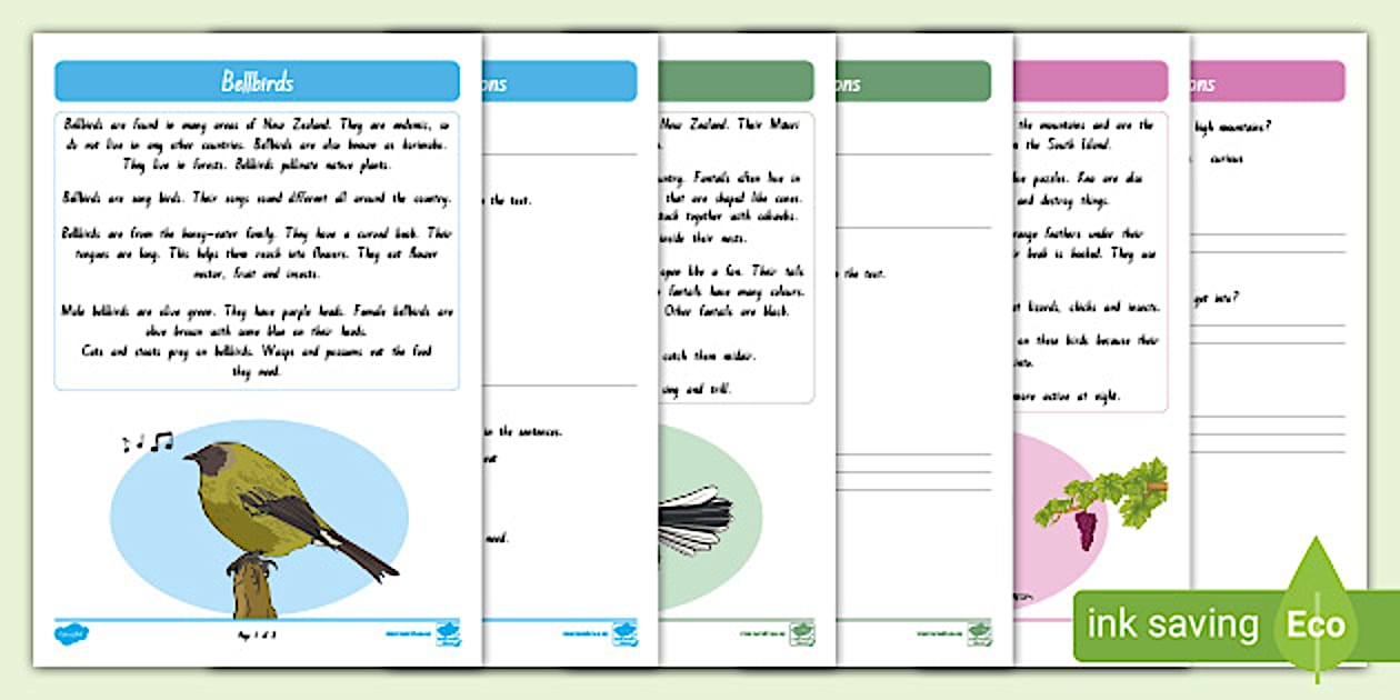New Zealand Endemic Birds Quick Reads Comprehension Pack