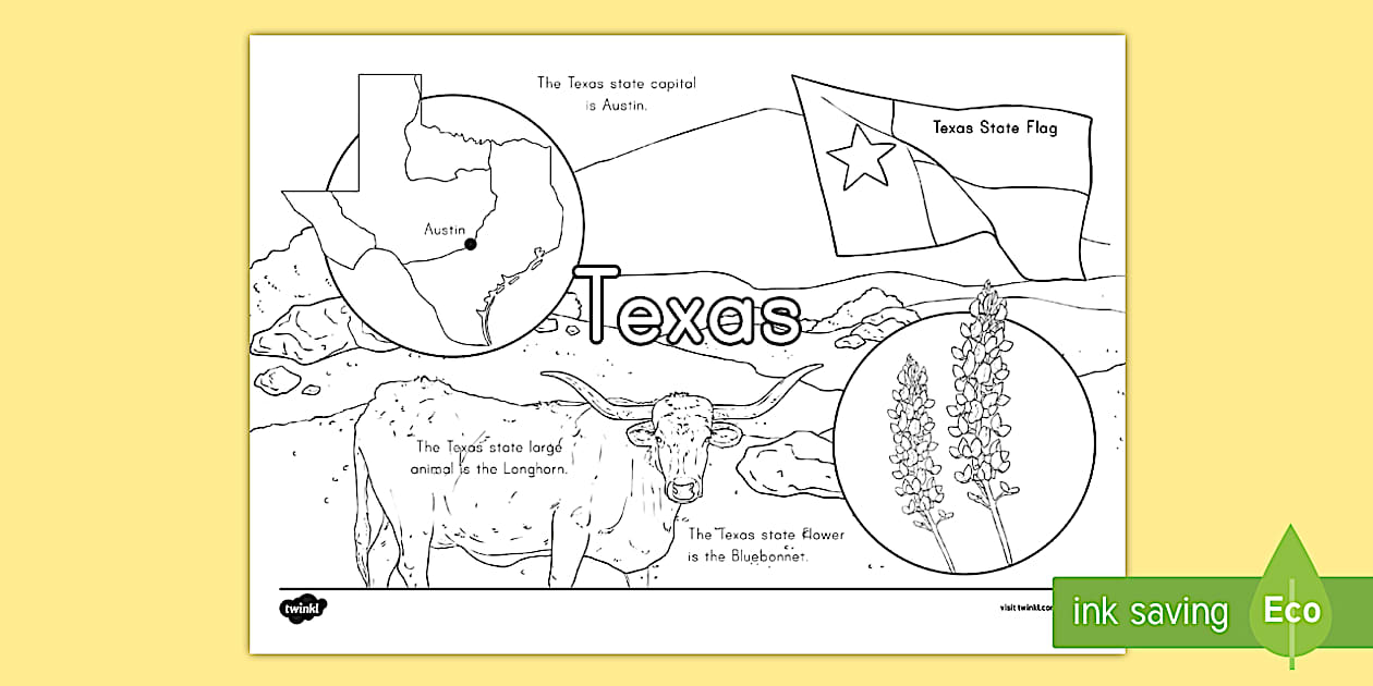 Texas State Facts Coloring Page - Twinkl