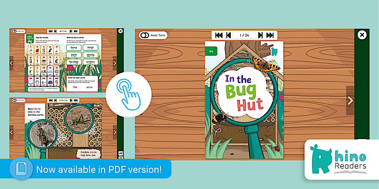 Level 4a Decodable Readers: In the Bug Hut (teacher made)