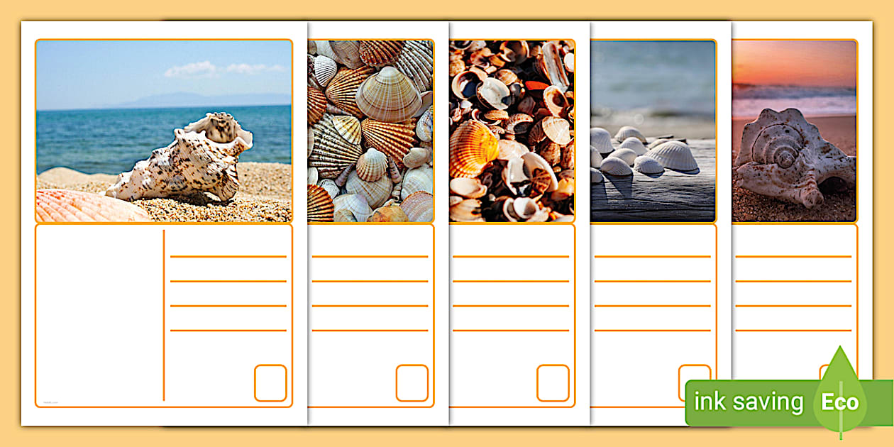 Seashell Postcards | Stationery | Twinkl | Shells | KS1