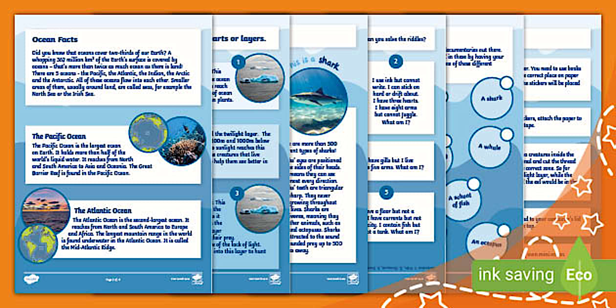Family Fun Day: Oceans (creat de profesori) - Twinkl