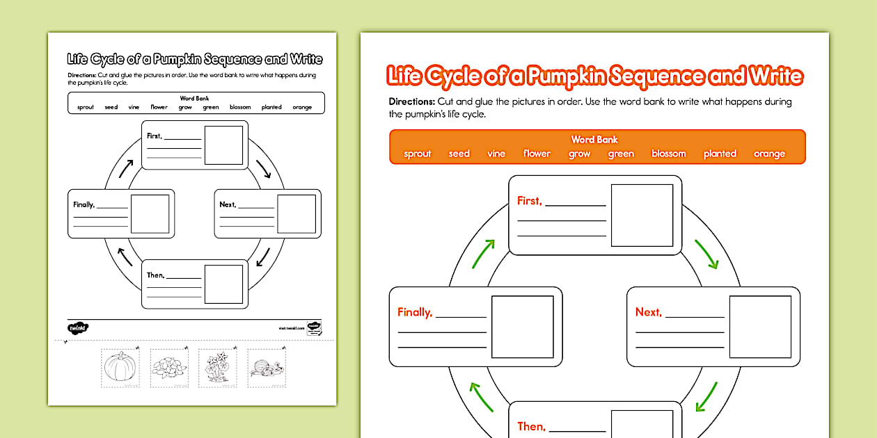 Life Cycle of a Pumpkin Sequence and Write Worksheet for 1st-2nd Grade
