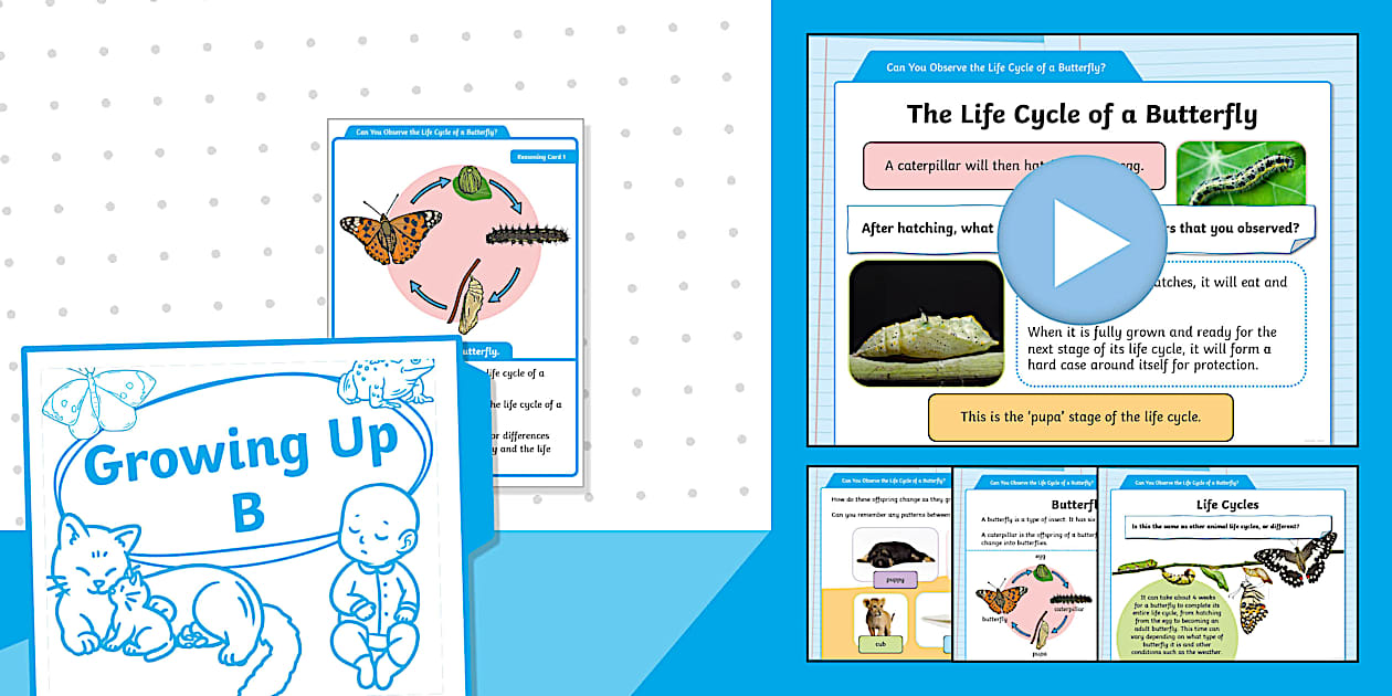 Step into Science: Year 2: Summer: Block 4: Growing Up B: Step 1