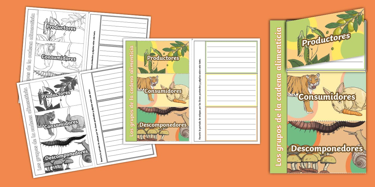 Flapbook: Productores, consumidores y descomponedores