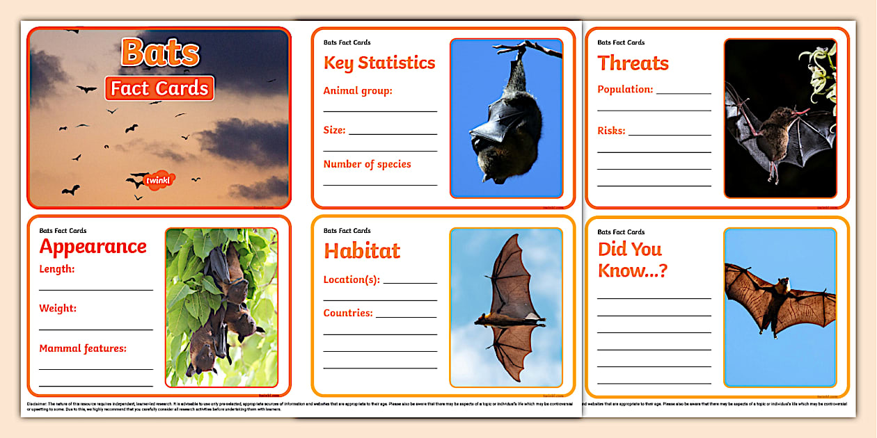 Bats Fact Cards Template - Twinkl Templates (teacher made)