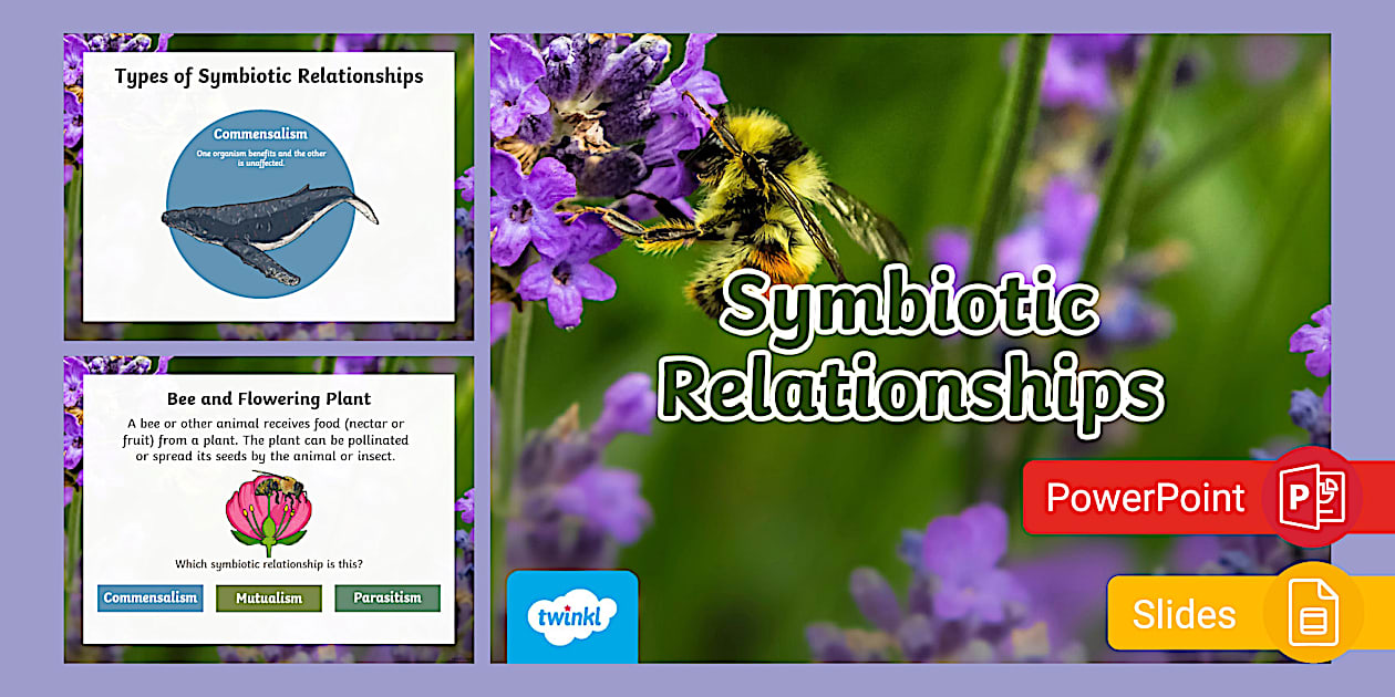 Symbiotic Relationships PowerPoint & Google Slides for 6th-8th Grade
