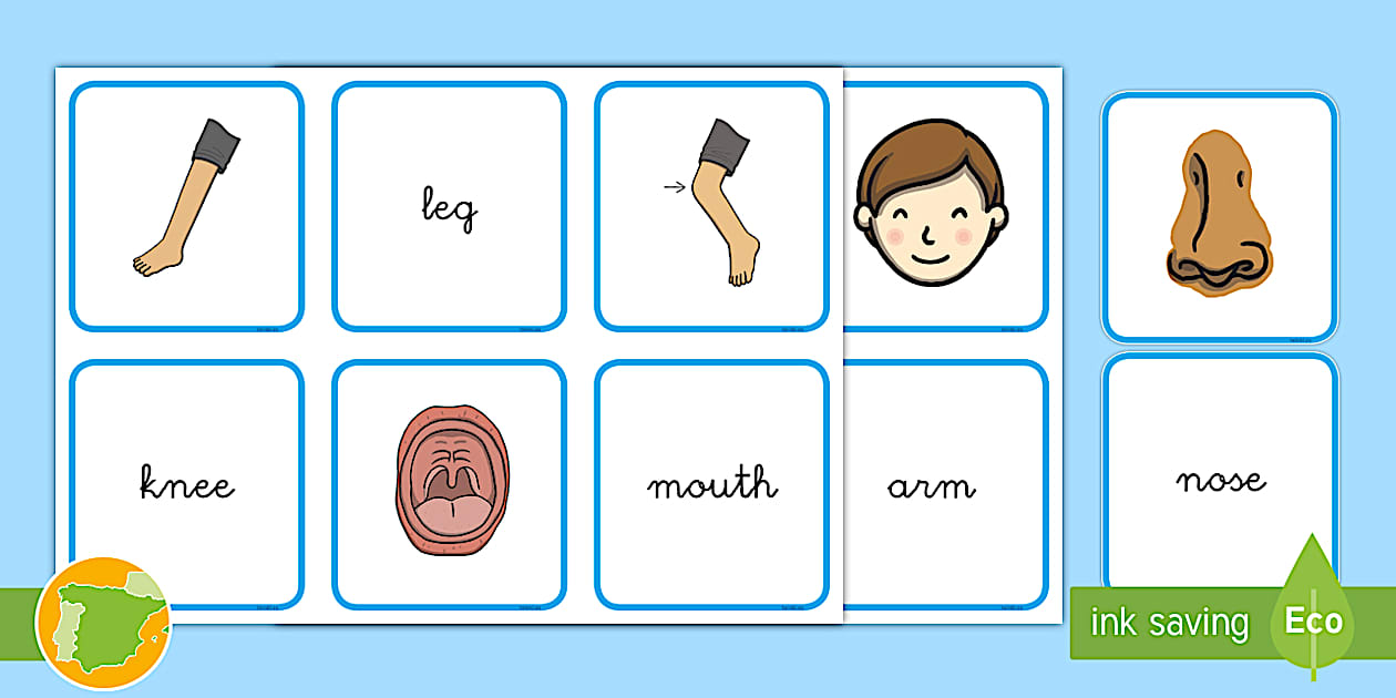 A1 Juego de snap: Las partes del cuerpo en inglés - Twinkl