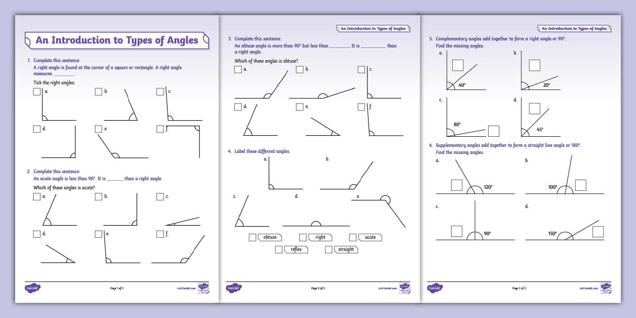 An Introduction to Types of Angles Activity Sheet - Twinkl