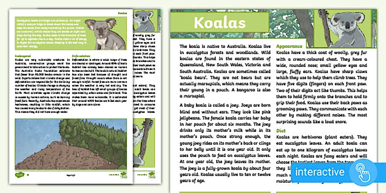 The Koala Differentiated Reading Comprehension Activity
