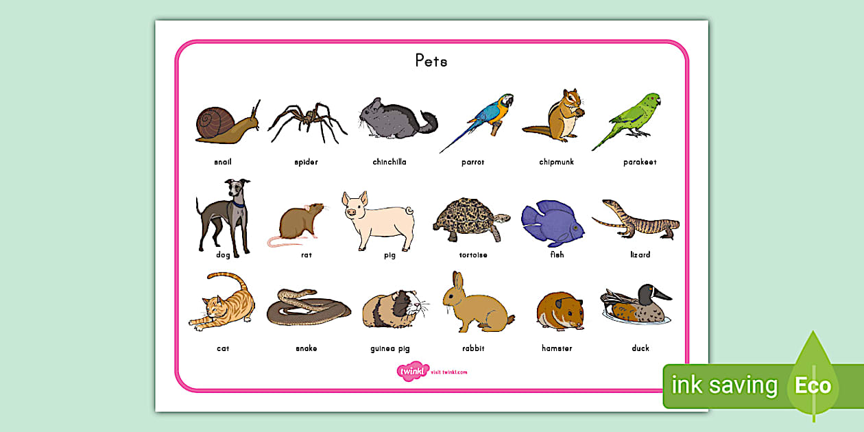Pets Word Mat