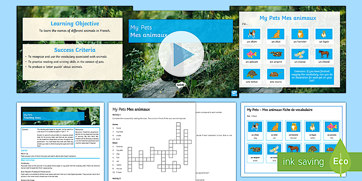 Cover Lesson: My Pets Lesson Pack French