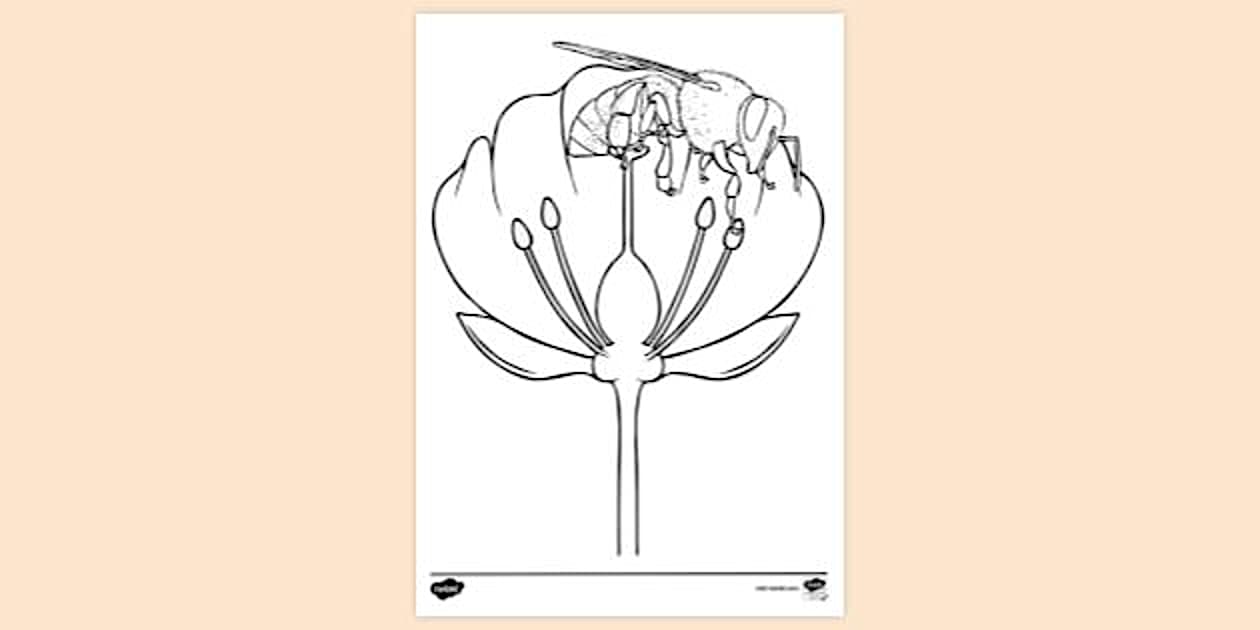 Bee Above Stigma Colouring Sheet | Colouring Sheets - Twinkl
