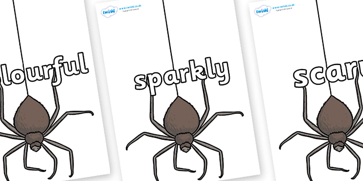 Wow Words on Charlotte (teacher made) - Twinkl