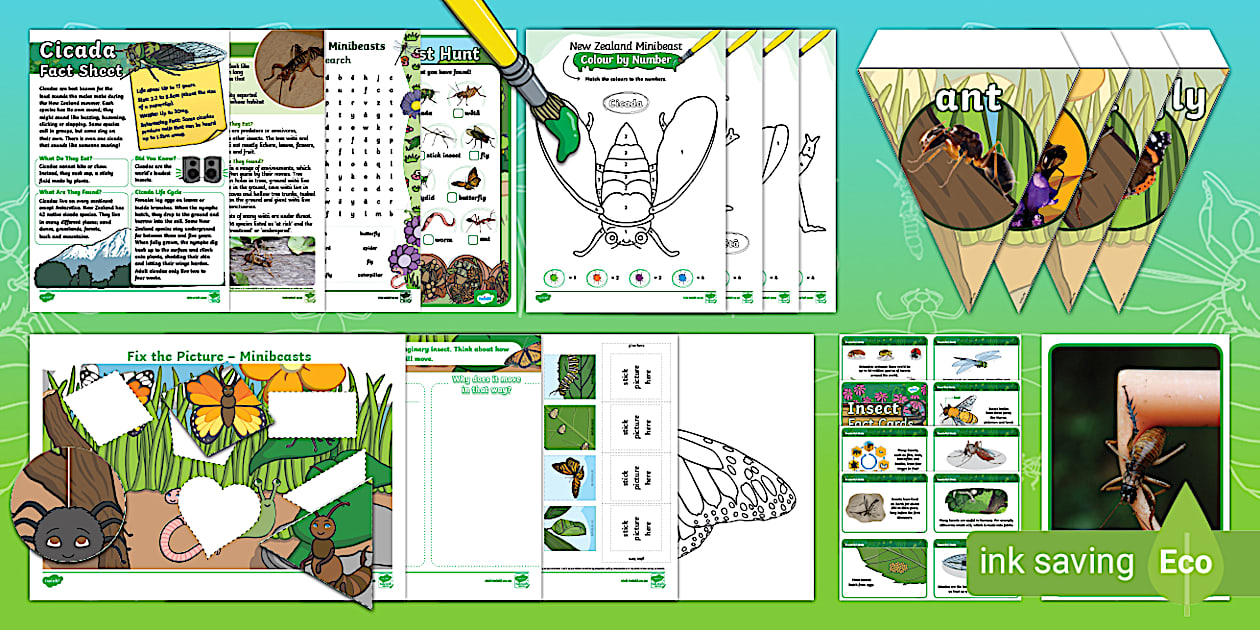 New Zealand Minibeasts Activity Pack