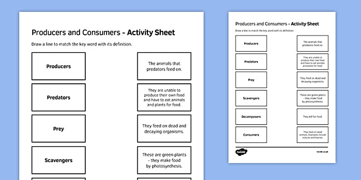 Editable Producers and Consumers Match and Draw - Twinkl
