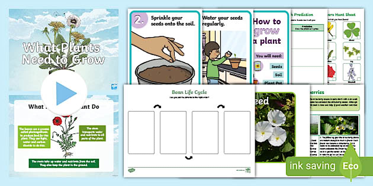 10 Growing Plants Pack - What do plants need to grow KS1