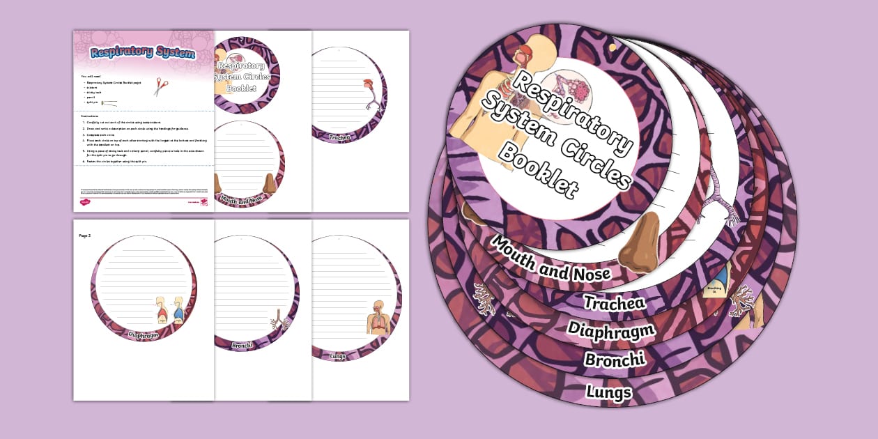 Respiratory System Circles Booklet (teacher made) - Twinkl