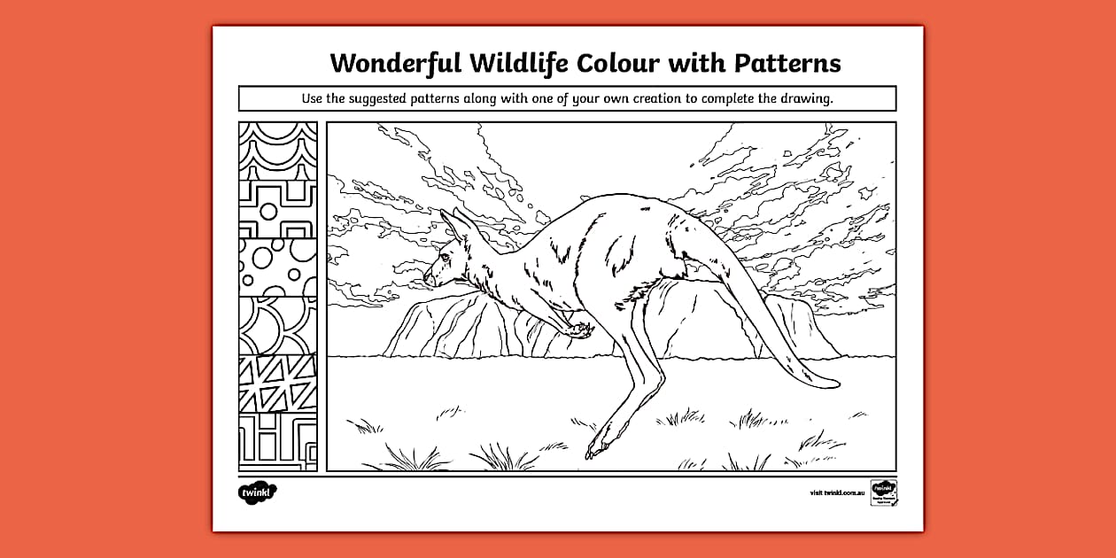 Wonderful Wildlife Colour with Patterns Activity - Twinkl