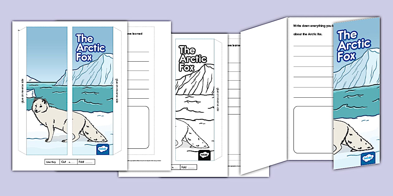 The Arctic Fox Folding Writing Template - Twinkl
