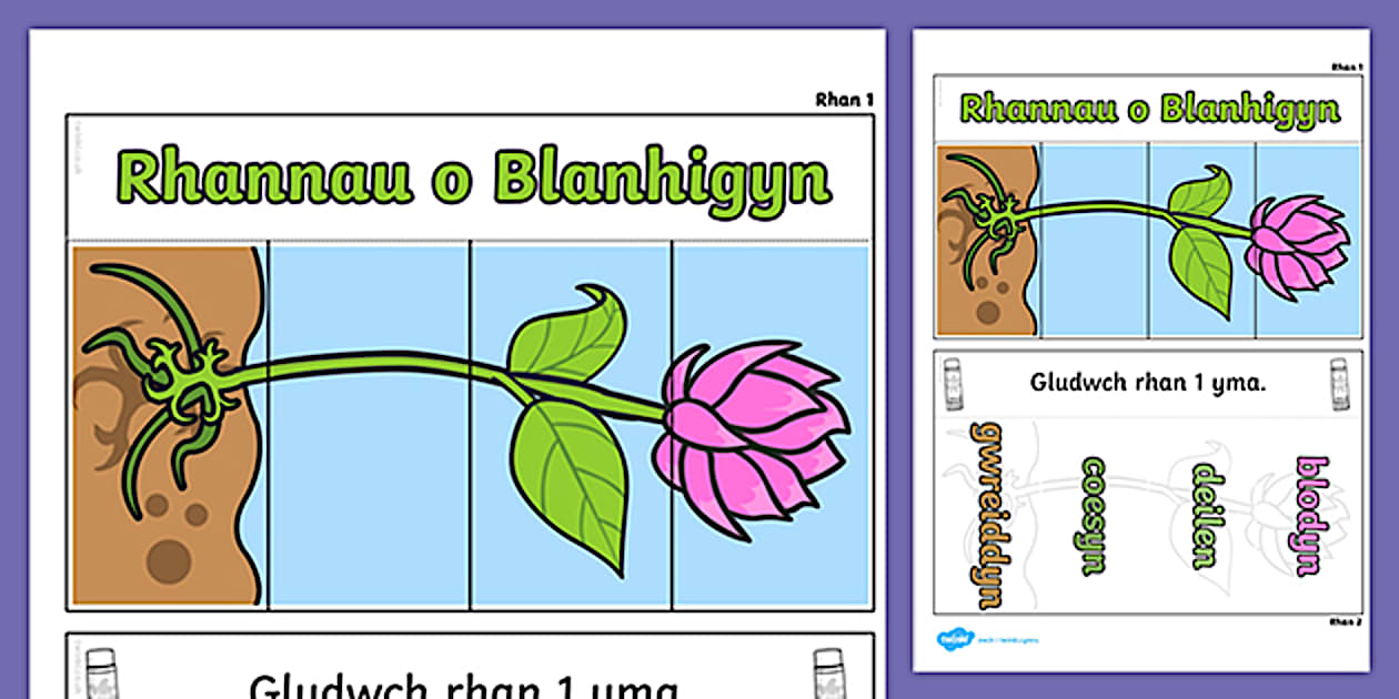 Templed Gwyddoniaeth | Adnoddau Hanfodol a Defnyddiol Gwych!