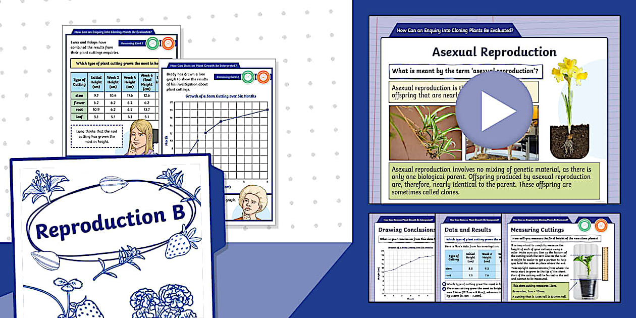 Stepping into Science: Year 5: Summer: Block 4: Reproduction B Steps 1 to 2