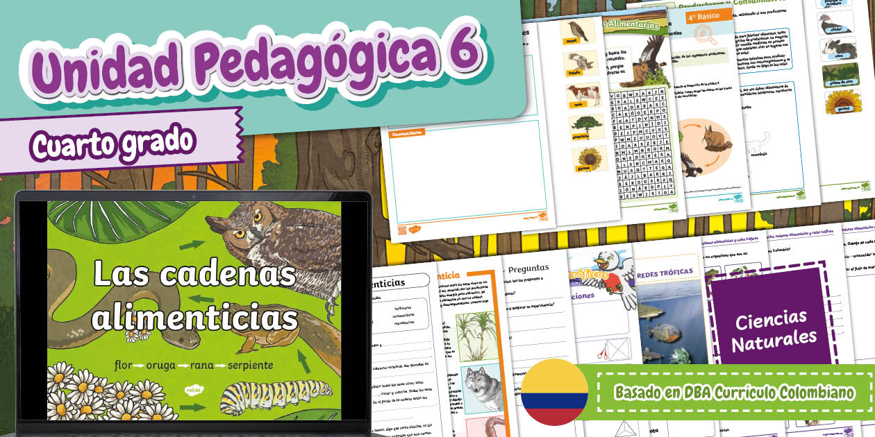 Recursos DBA 6 Cuarto - Ciencias Naturales -Twinkl Colombia
