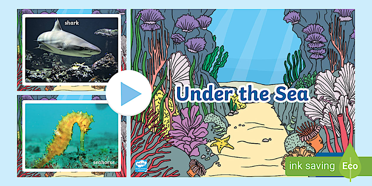 Under The Sea PowerPoint With Photos (teacher made) - Twinkl
