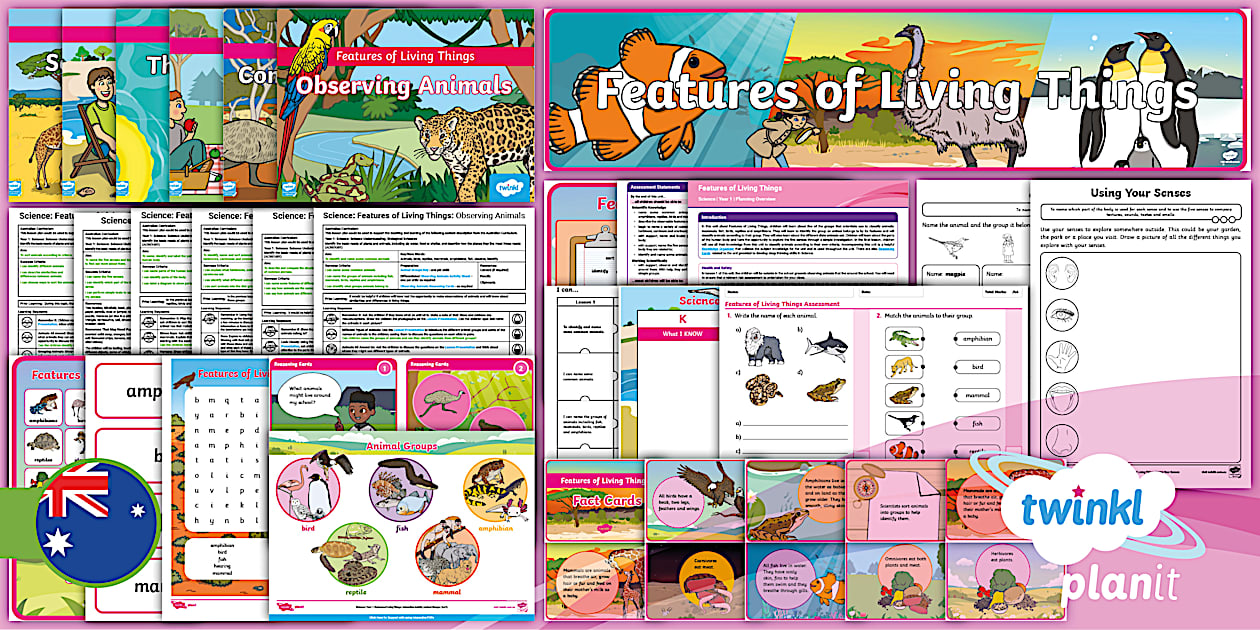 Year 1 Science Features of Living Things Unit Pack