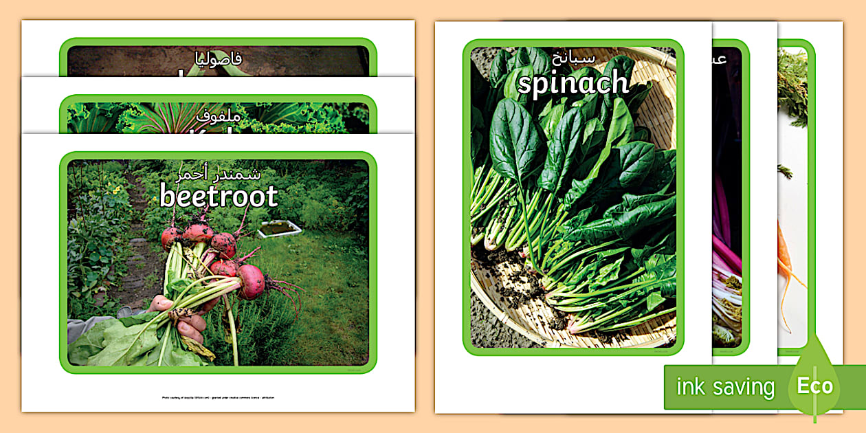 Vegetable Display Photos Display Photos - Arabic/English - Vegetable ...