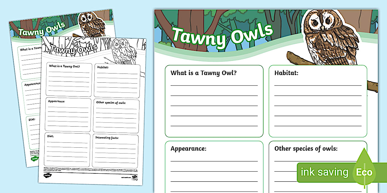 Tawny Owl Fact File Template (teacher made) - Twinkl