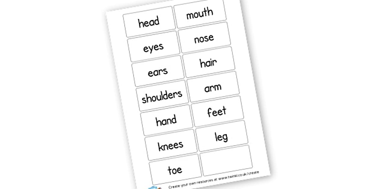 The Body Cards (teacher made) - Twinkl