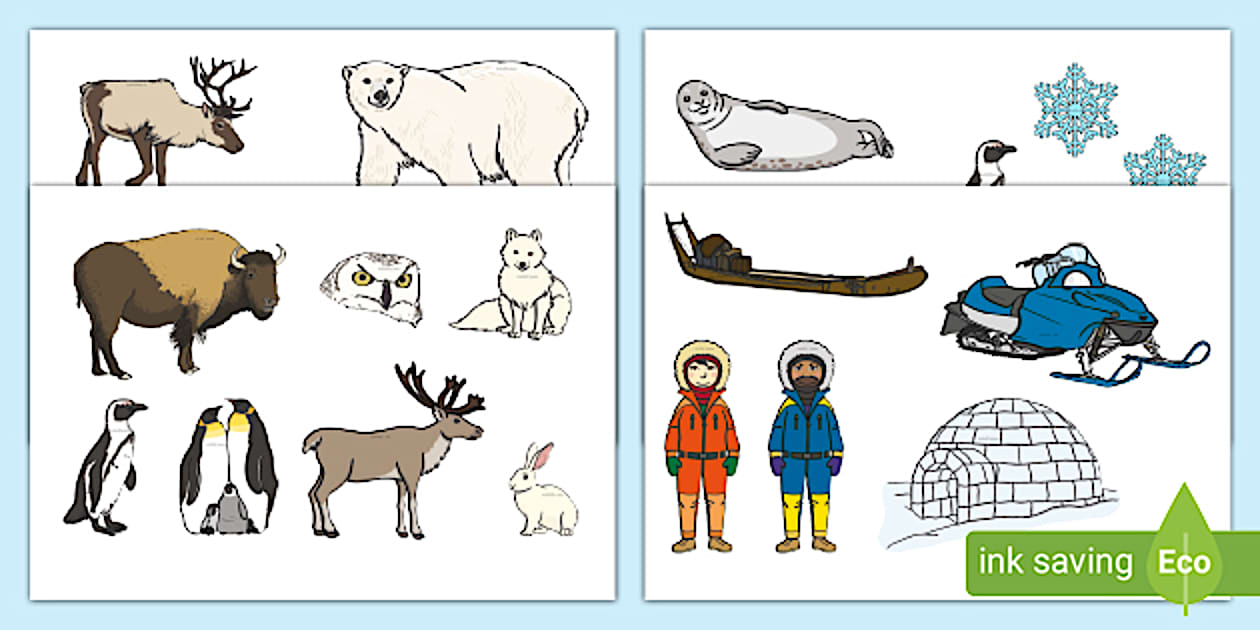 Polar Explorer Cut Outs (teacher made) - Twinkl