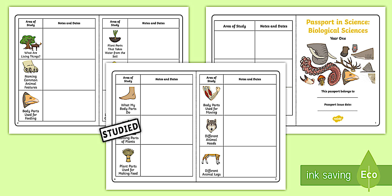 Year 1 Biological Sciences Passport Booklet - Twinkl