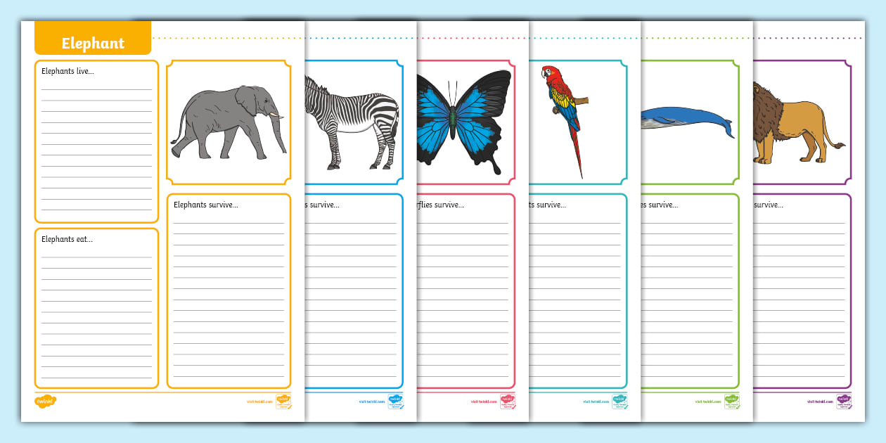 Animal Fact File Worksheets - Primary Resource - Twinkl