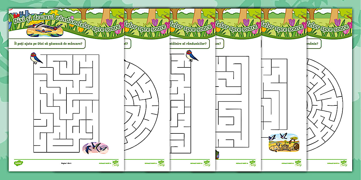 Dixi și drumul rândunelelor spre soare – Labirint