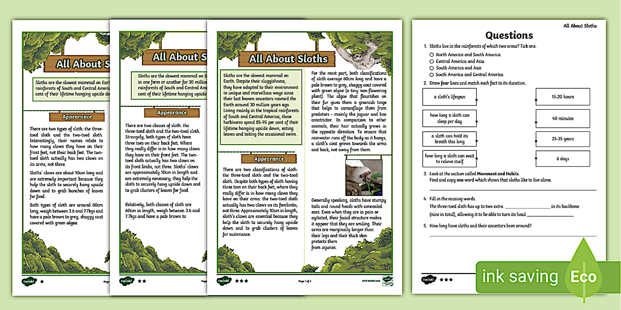 UKS2 All About Sloths Reading Comprehension Activity