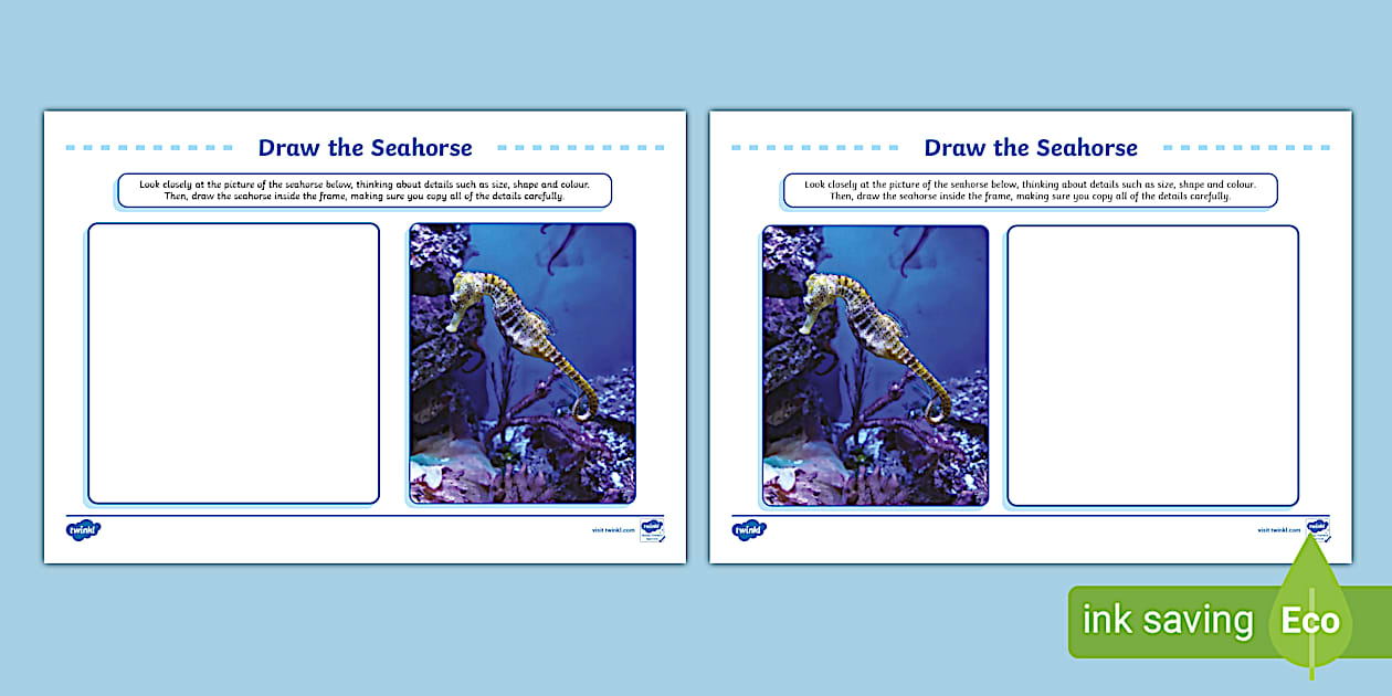 Draw the Seahorse Activity (l'enseignant a fait) - Twinkl