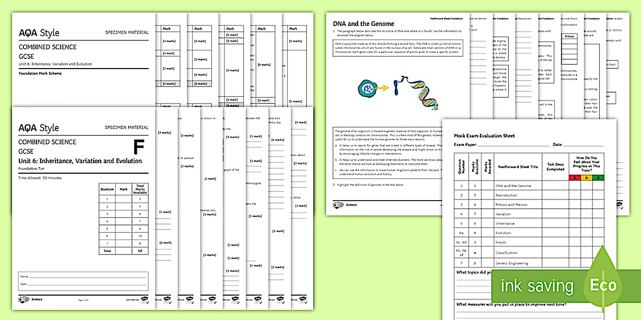 GCSE Inheritance, Variation and Evolution Foundation Assessment Pack