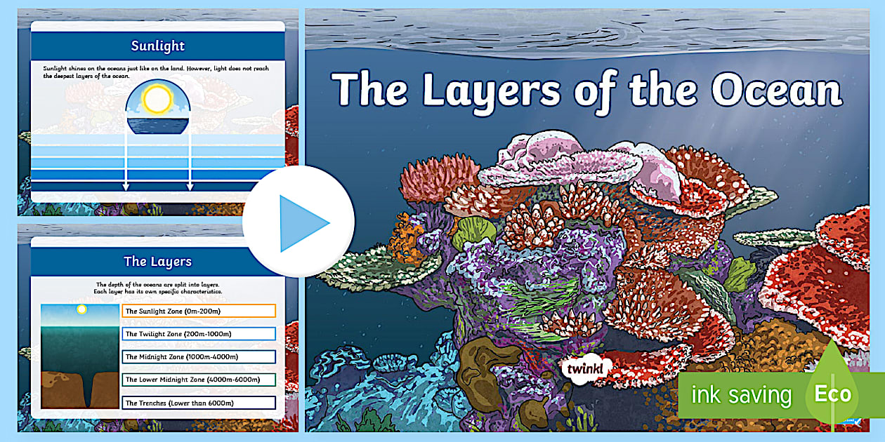 Ocean Powerpoint | Ocean Layers | Twinkl (teacher made)