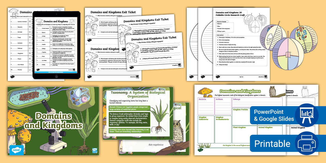 Sixth Grade Domains and Kingdoms Taxonomy Lesson Pack