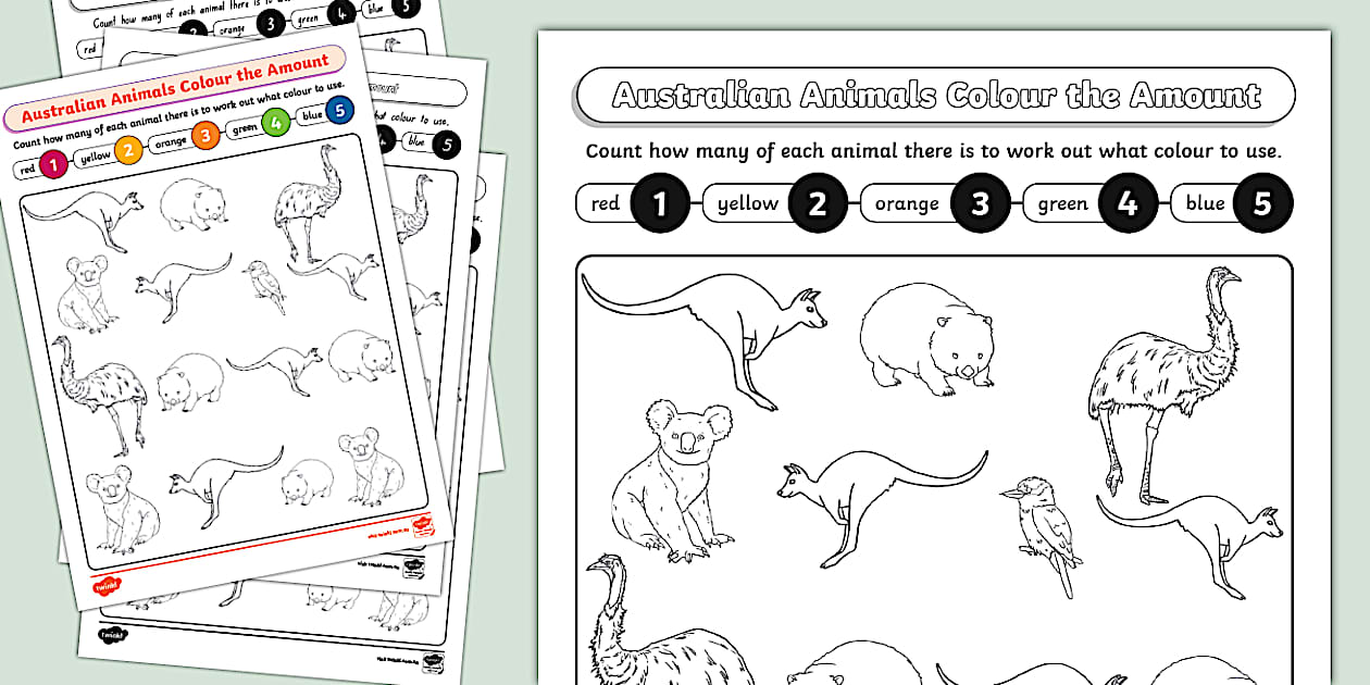 Australian Wildlife Colour the Amount Worksheet - Twinkl
