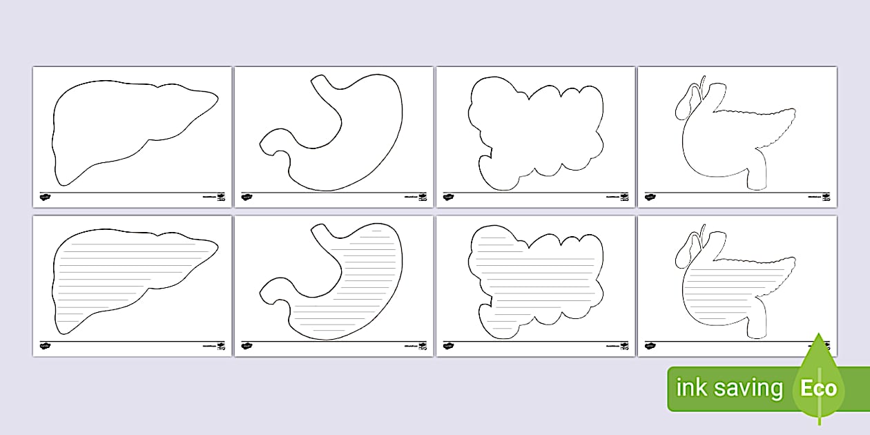Digestive System Writing Templates (teacher made) - Twinkl