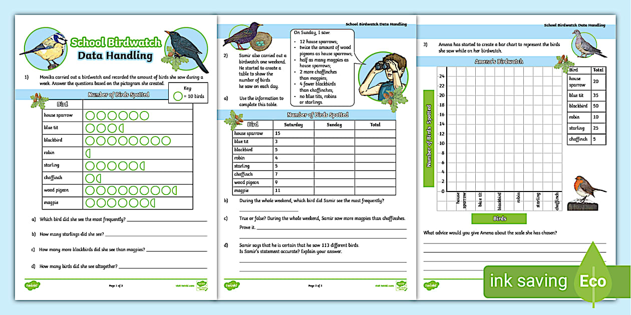 👉 KS2 School Birdwatch Data Handling Maths Activity Sheet