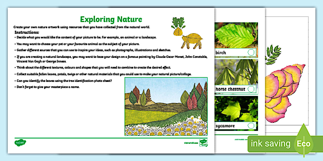 Exploring Nature Art | Nature Activities for Kids | Twinkl
