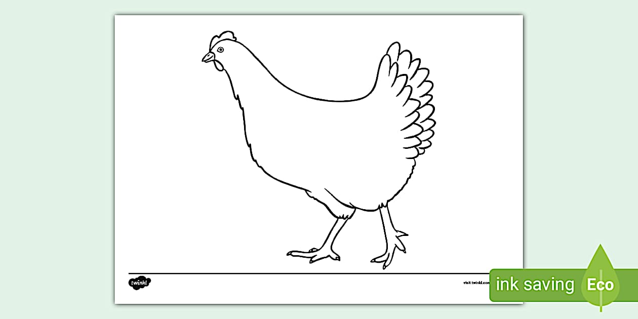 Hen Template (teacher made) - Twinkl