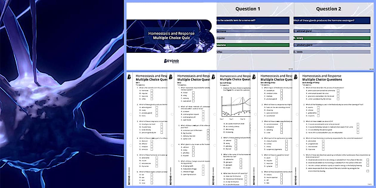 AQA Homeostasis Quiz Revision Pack (Teacher-Made) - Twinkl
